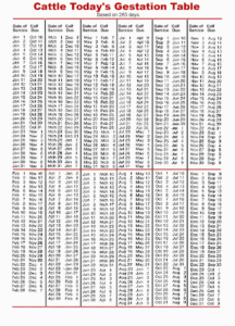 Yearly Cattle Schedule - Food Comes From Families®